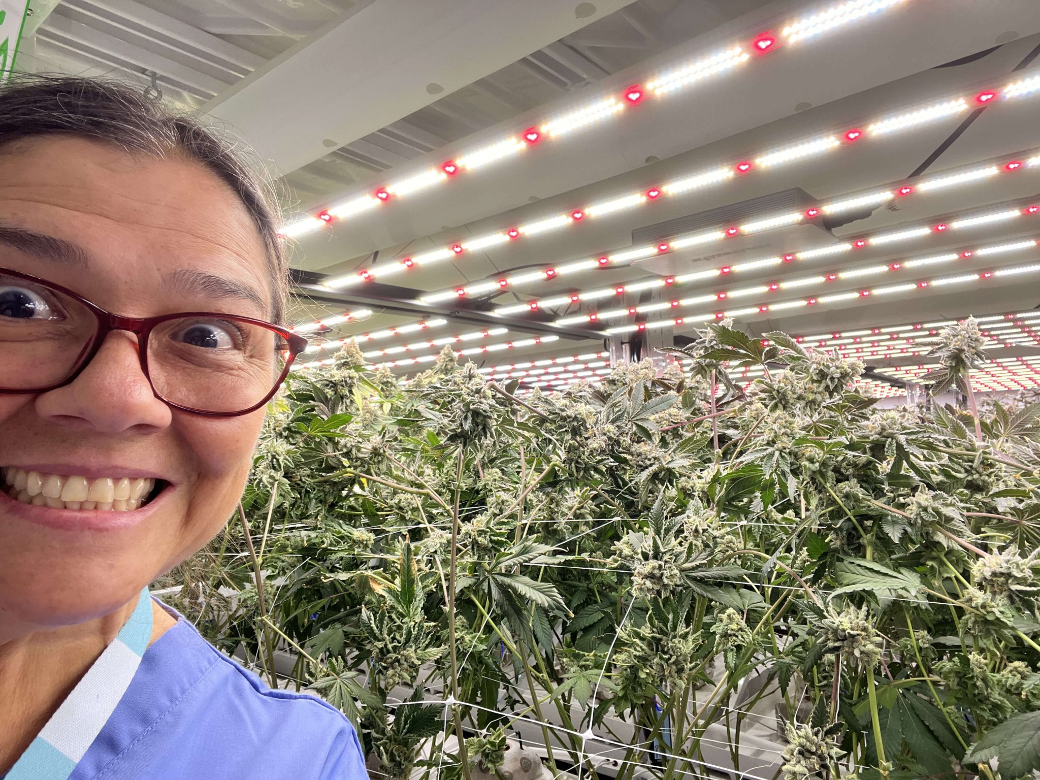 Our Story - U4eaFarms